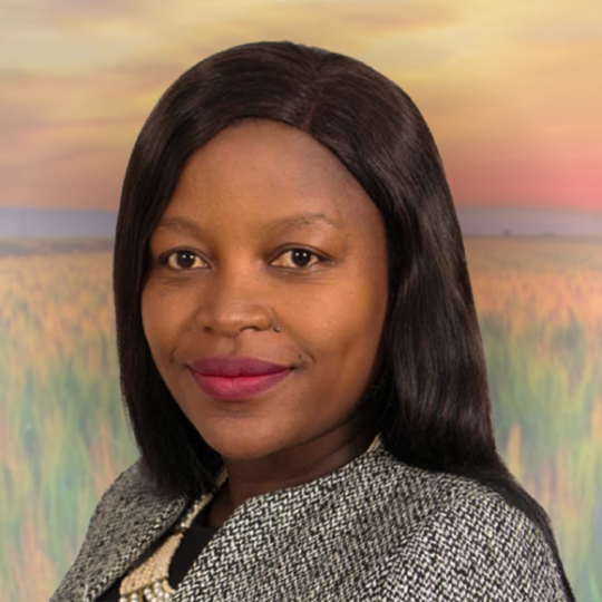 About Us – Zimbabwe Mercantile Exchange